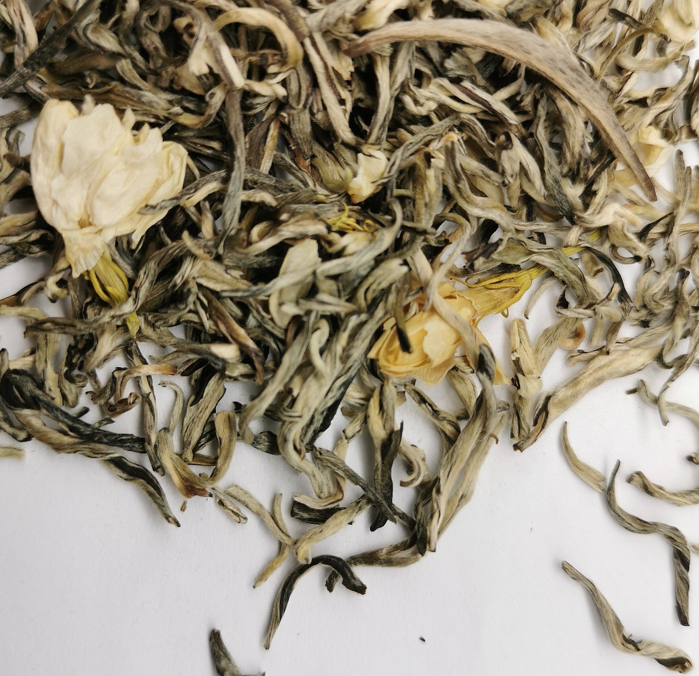 White Tea - Jasmine Yin Hao – TangPin Tea